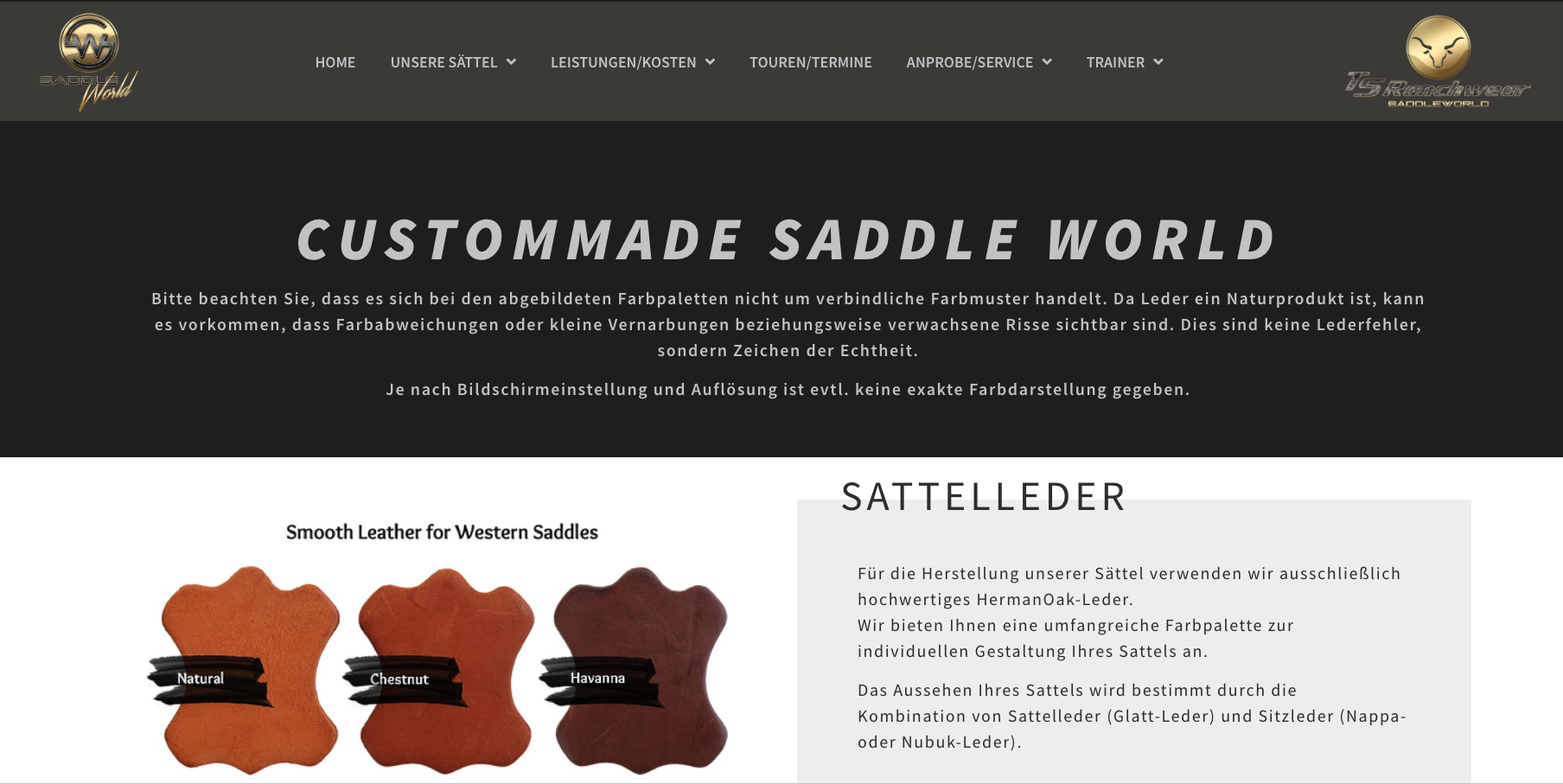 Custom Made AM Saddleworld - SaddleWorld