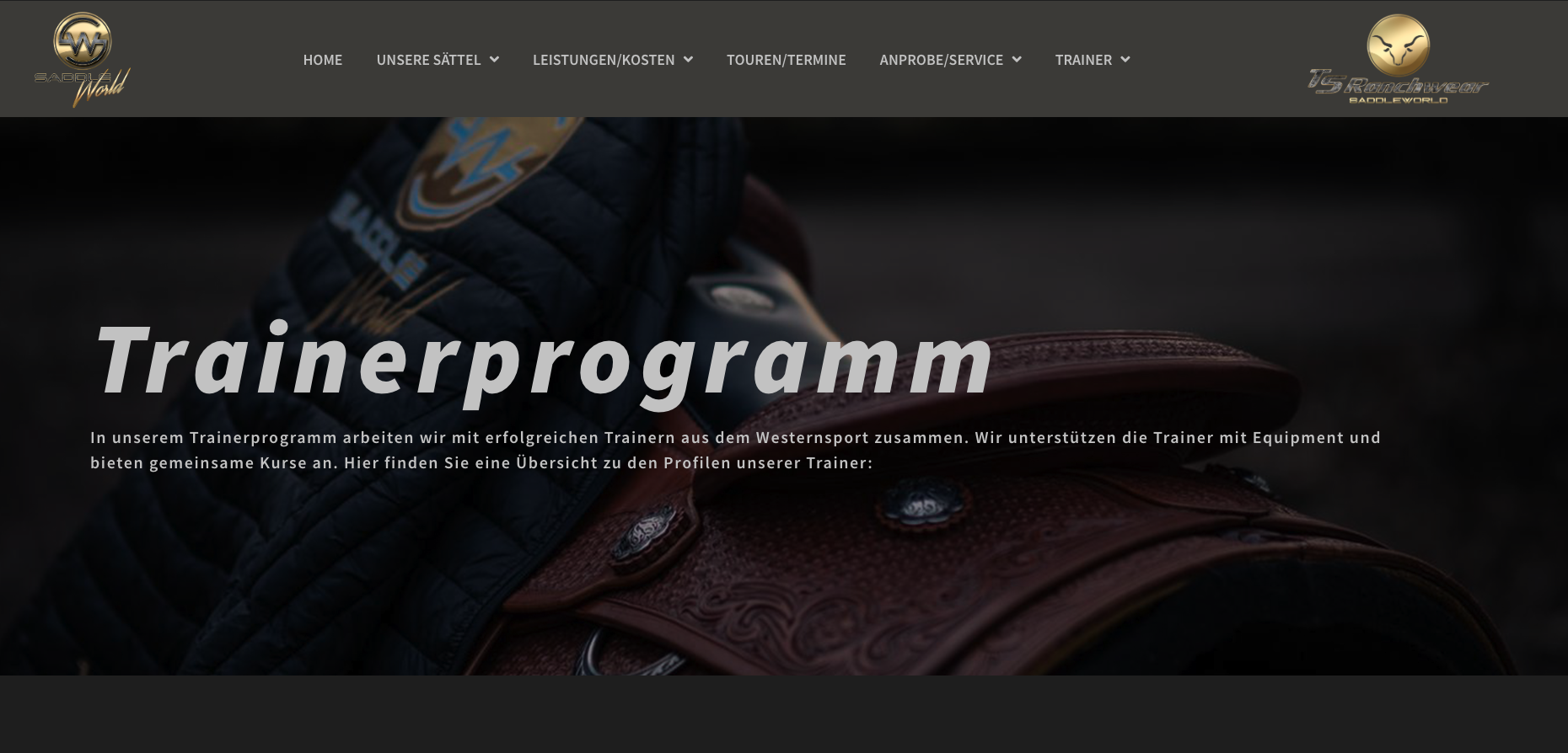 Trainer - SaddleWorld